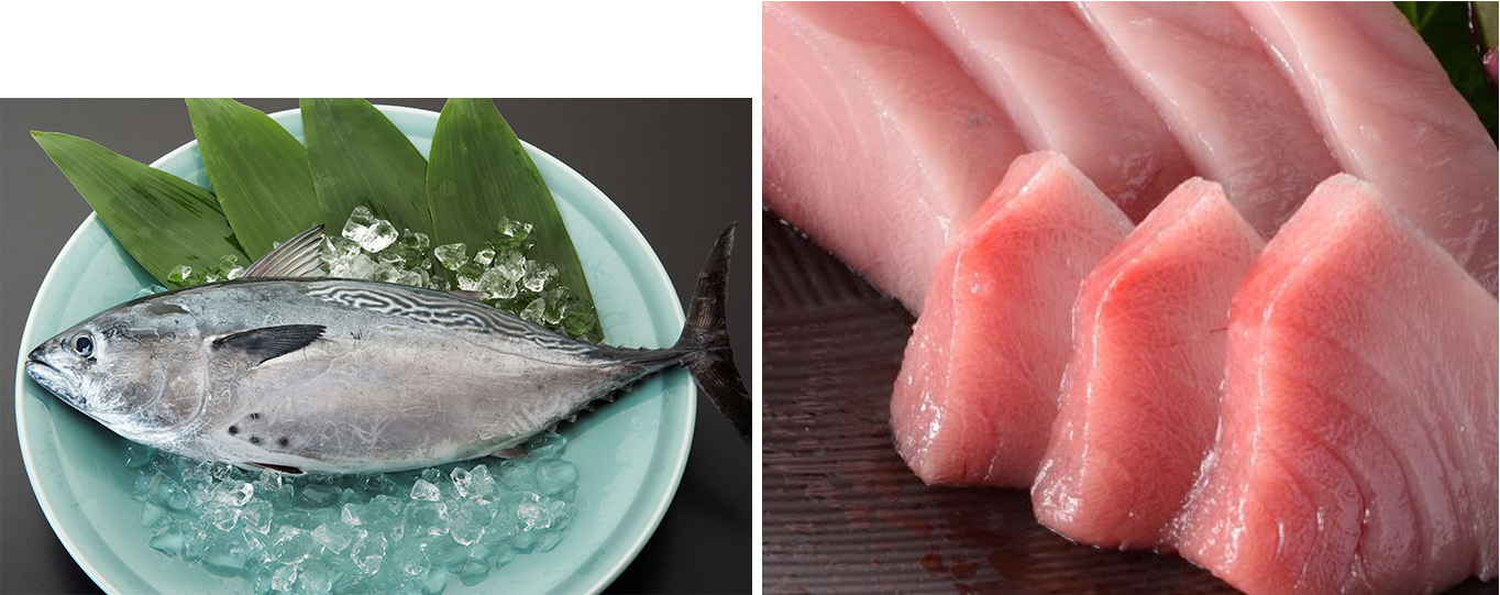 愛媛フェア2024 開催中「サーラアマービレ」 - CUCINA ACCI